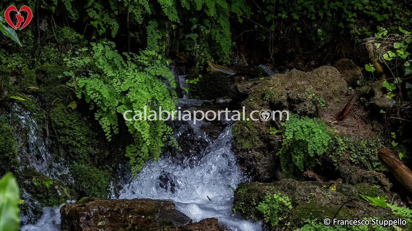 Torrente Sangineto (Calabria): natura e sentieri da sogno