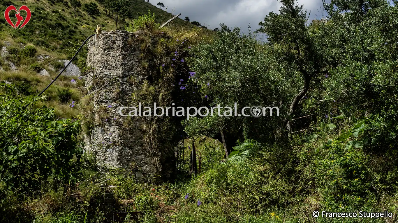 Torrente Sangineto (Calabria): natura e sentieri da sogno