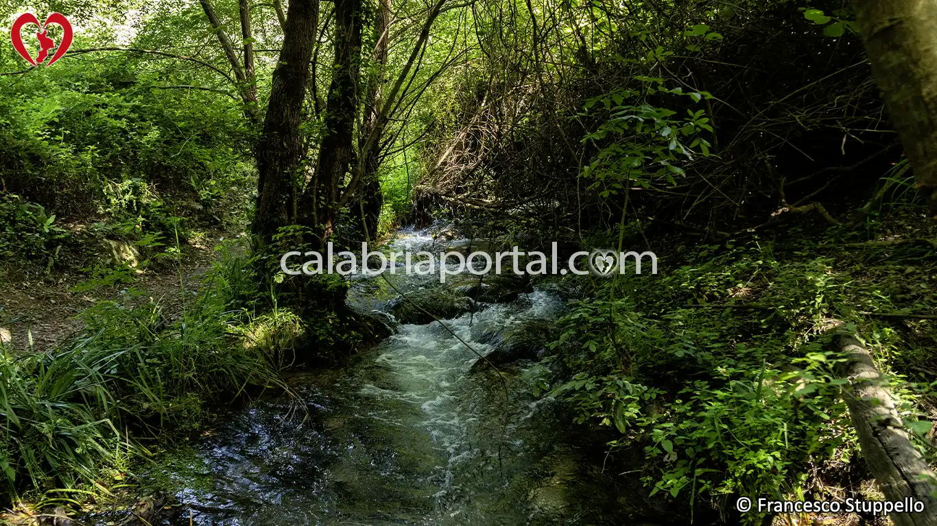 Torrente Sangineto (Calabria): natura e sentieri da sogno