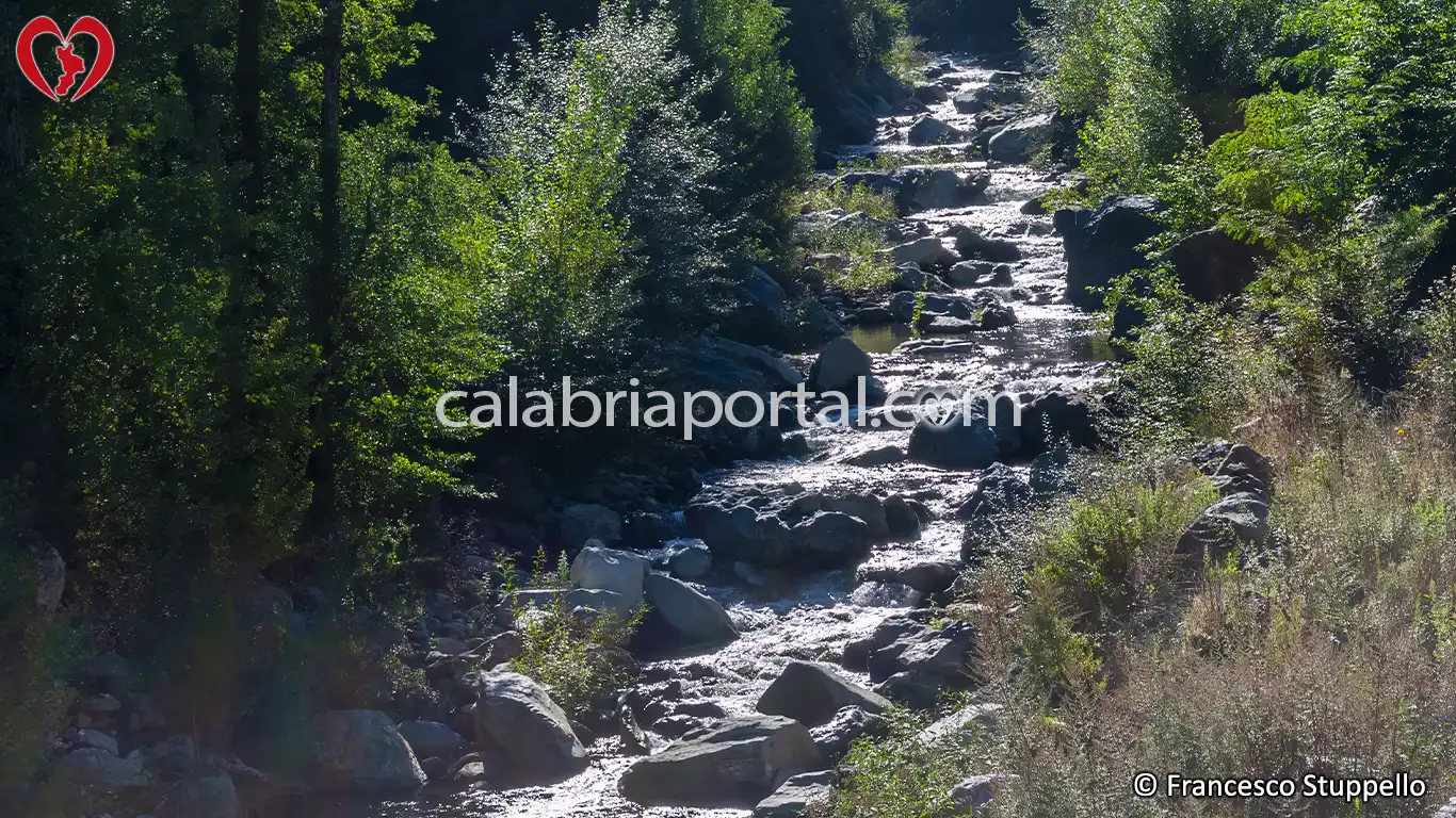 Fiume Savuto (Calabria): antichi ponti e natura mediterranea