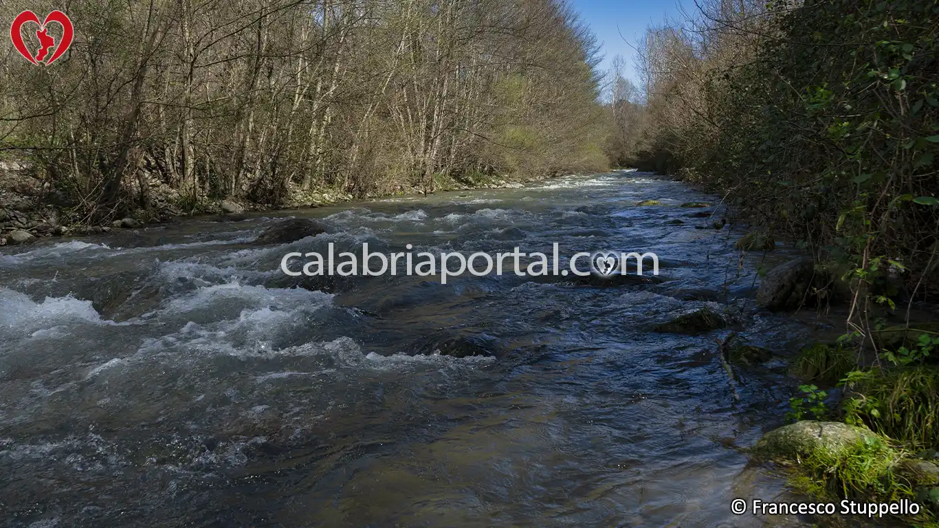 Fiume Savuto (Calabria): antichi ponti e natura mediterranea