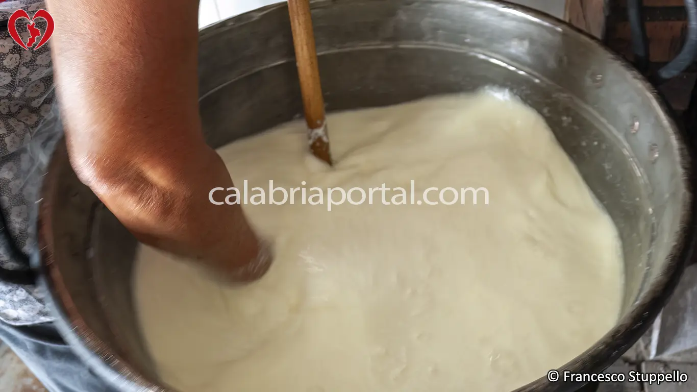 Canestrato della Calabria: tipico formaggio calabrese