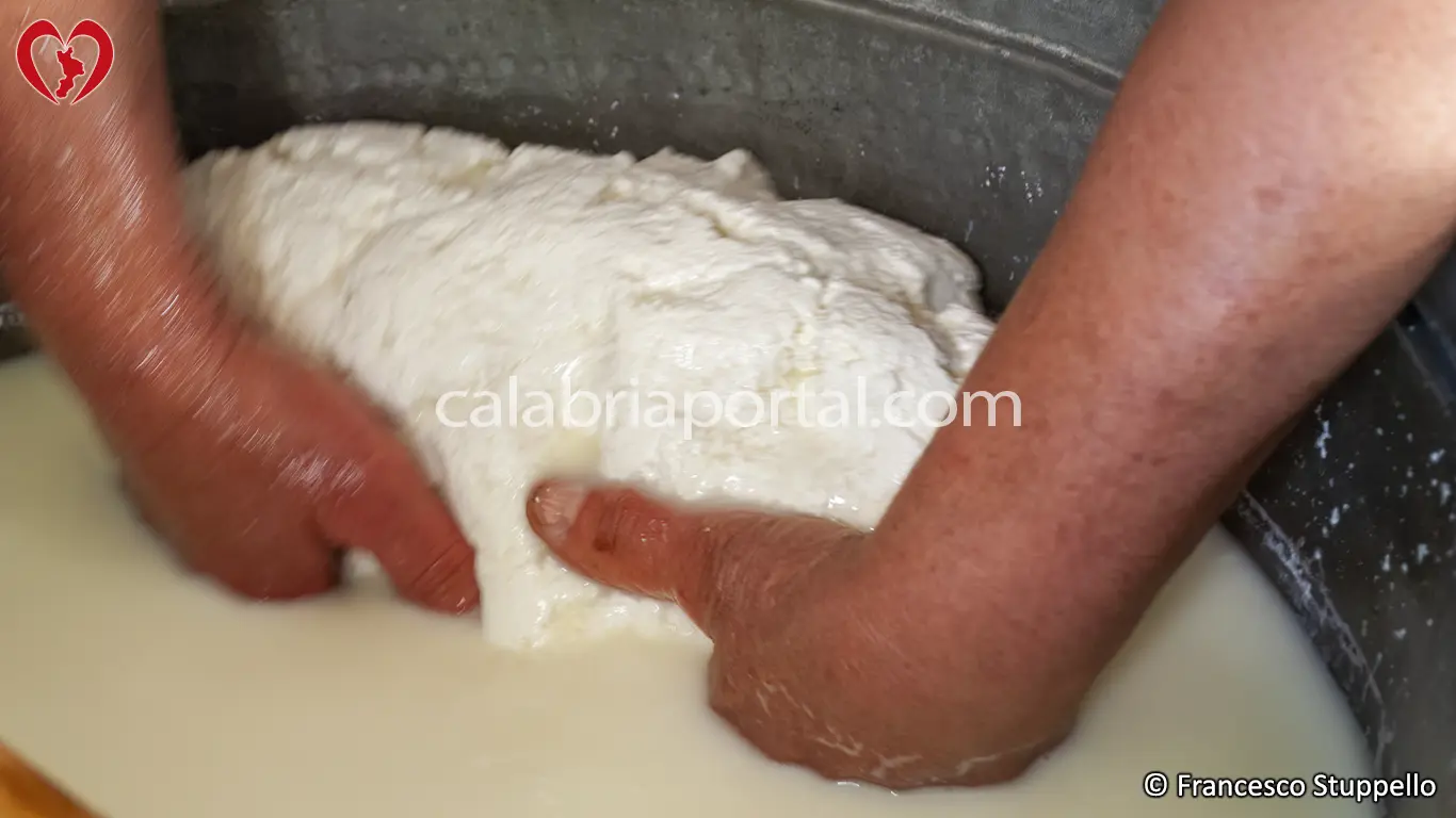 Canestrato della Calabria: tipico formaggio calabrese