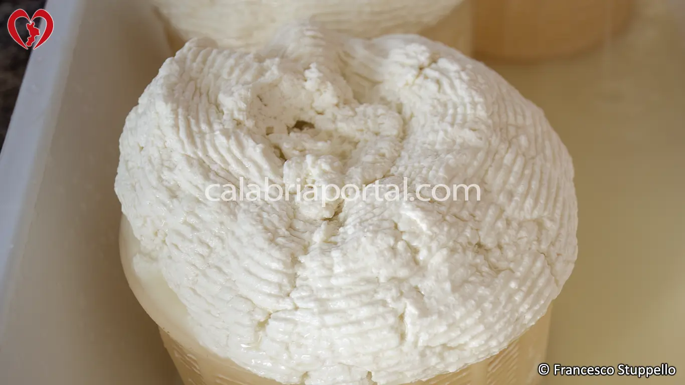 Canestrato della Calabria: tipico formaggio calabrese