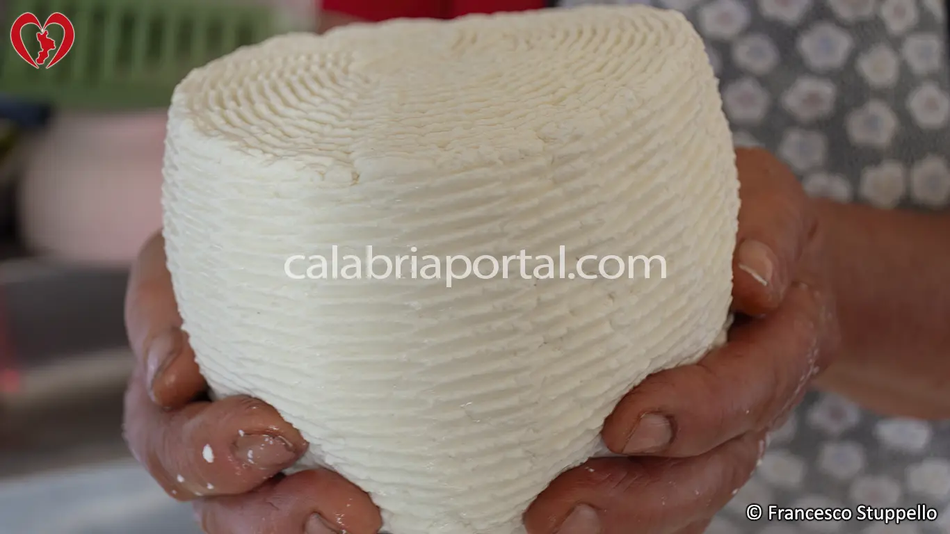 Canestrato della Calabria: tipico formaggio calabrese
