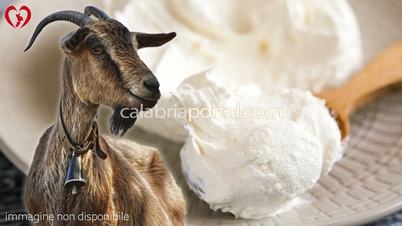 Shtalp della Calabria: tipico formaggio calabrese