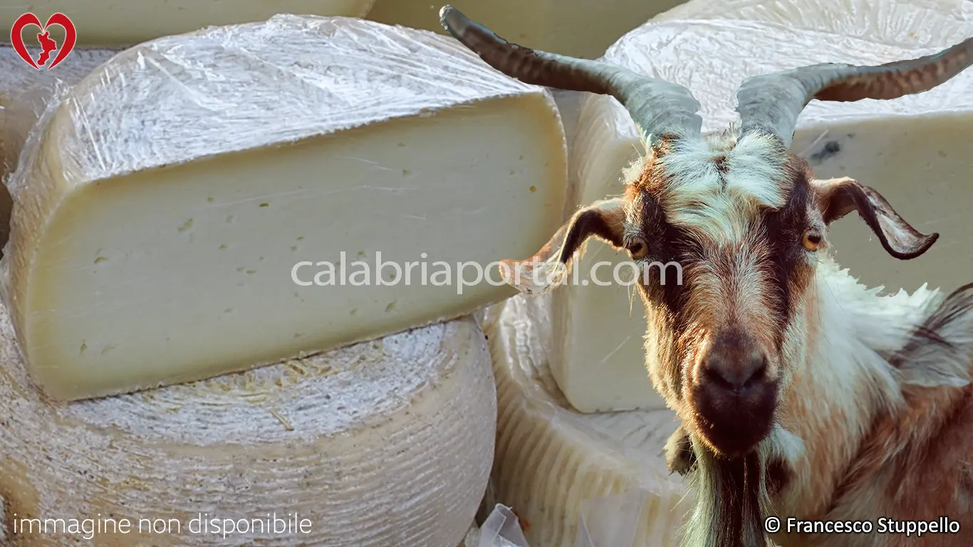 Canestrato dell'Aspromonte: tipico formaggio calabrese