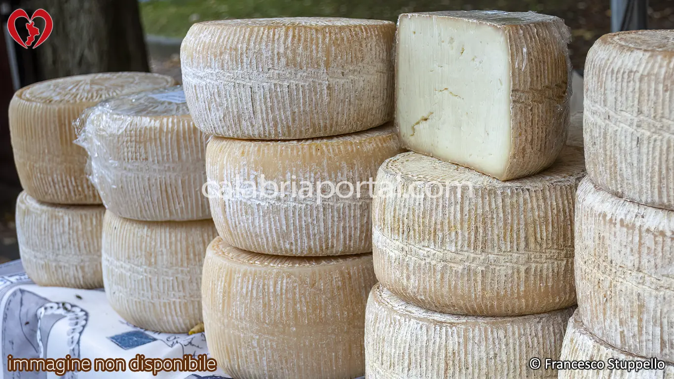 Formaggi della Calabria: prodotti tipici caseari calabresi