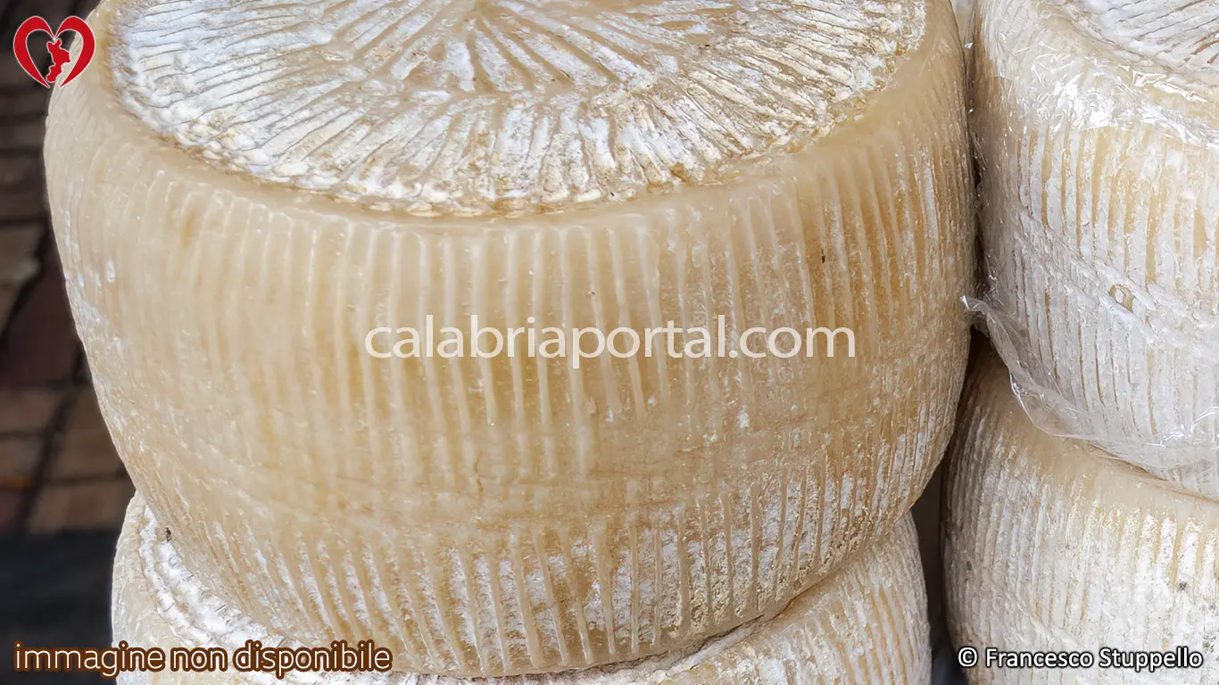 Pecorino Primo Sale: formaggio pecorino calabrese