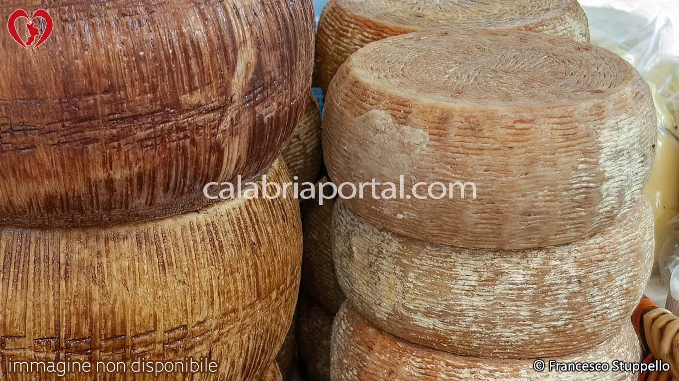 Pecorino Valle dell'Ancinale: formaggio pecorino calabrese