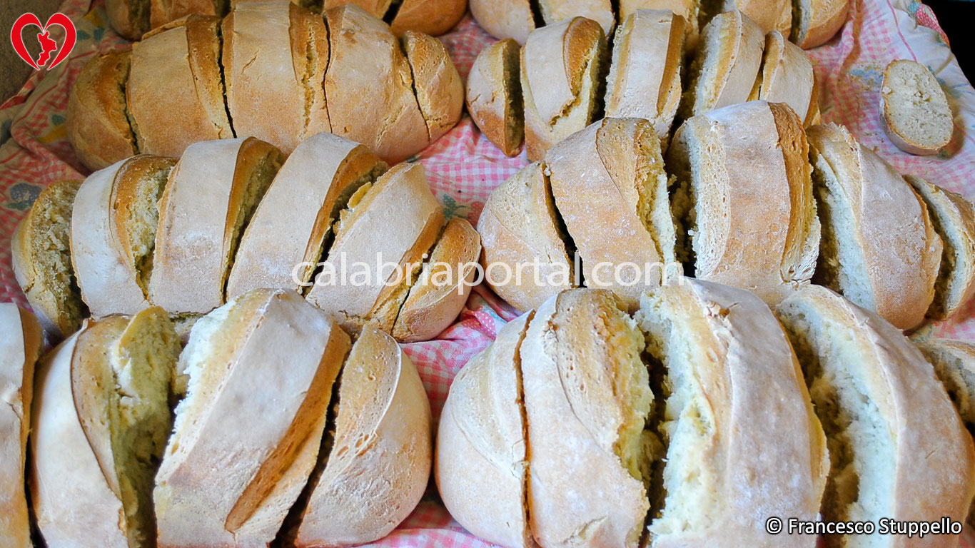 Pane Duro Calabrese: antico prodotto tipico della Calabria