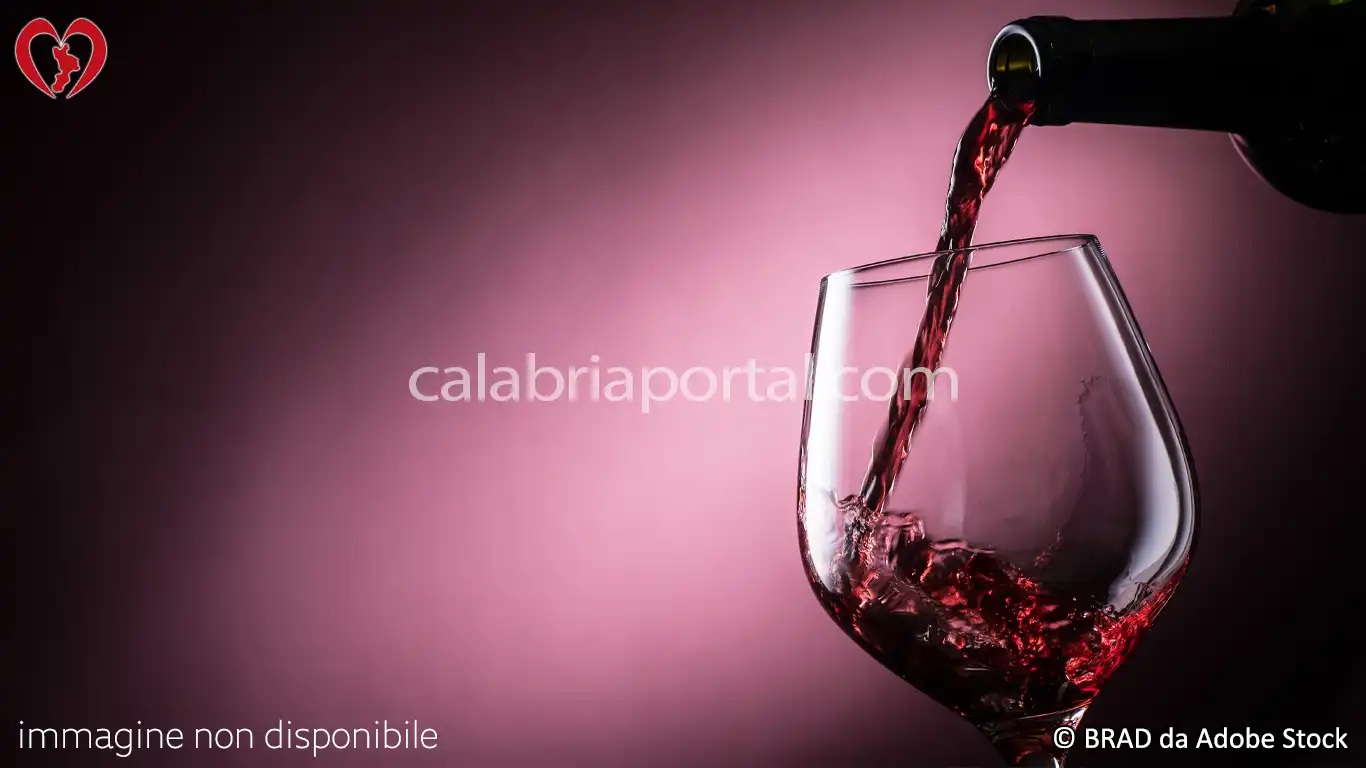 Vino Val di Neto Rosso: vino calabrese IGT